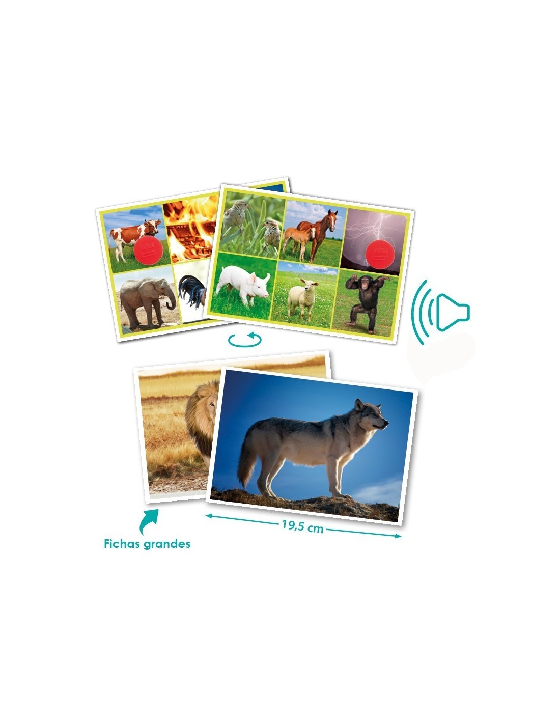 Bingo: Los Animales y la Naturaleza